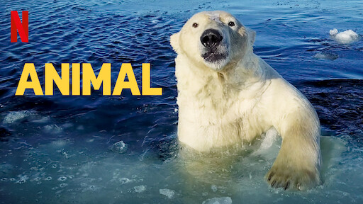 Watch Life on Our Planet | Netflix Official Site