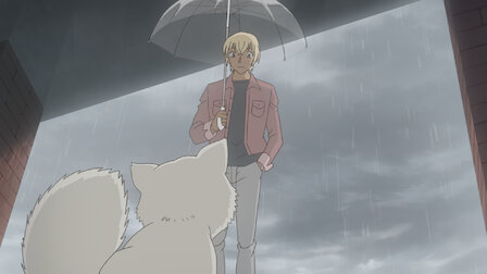 Watch Case Closed: Zero's Tea Time | Netflix Official Site