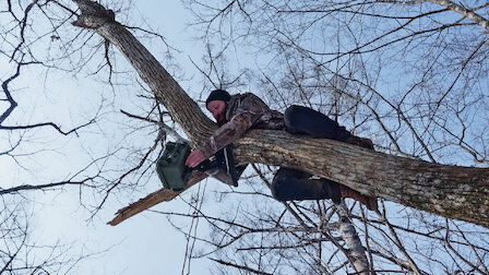 Watch Our Planet | Netflix Official Site
