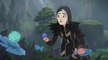 Watch The Dragon Prince | Netflix Official Site