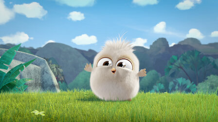 Watch Angry Birds | Netflix