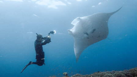 Watch Tales by Light | Netflix Official Site