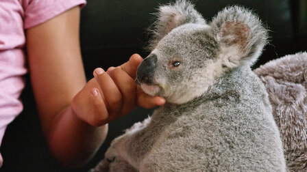 Watch Izzy's Koala World | Netflix Official Site