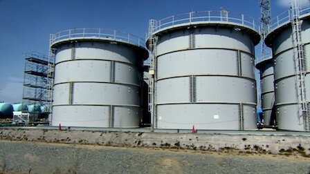 Watch History 101 | Netflix Official Site