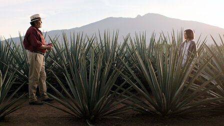 Watch Monarca | Netflix Official Site