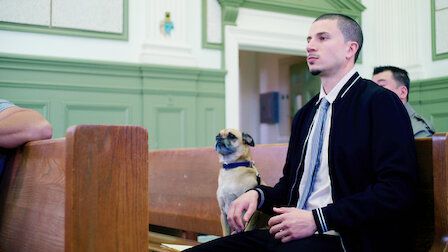 Watch It's Bruno! | Netflix Official Site