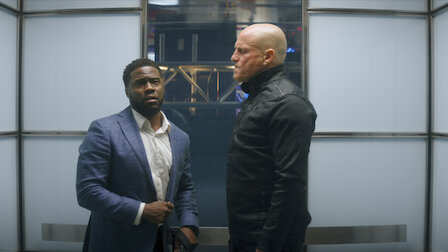 Watch The Man from Toronto | Netflix Official Site