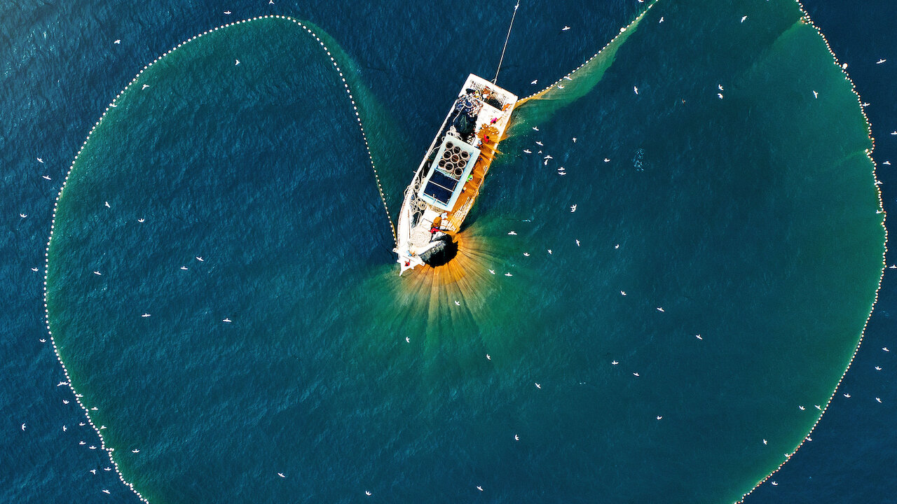 Watch Fishing for Bluefin Tuna | Netflix