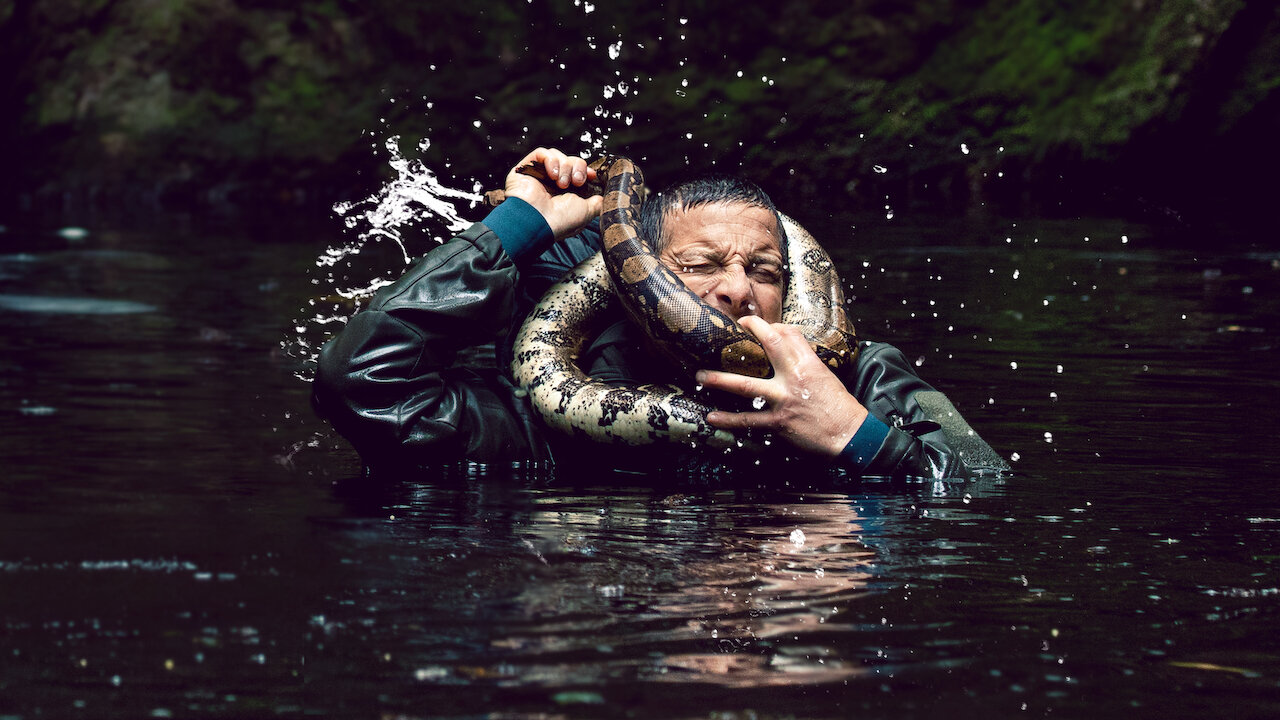 Watch Animals on the Loose: A You vs. Wild Movie | Netflix Official Site