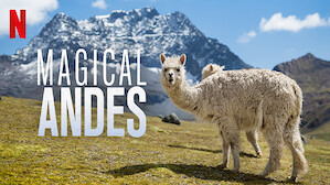 Social & Cultural Documentaries | Netflix Official Site