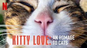 Dutch Movies & TV | Netflix Official Site